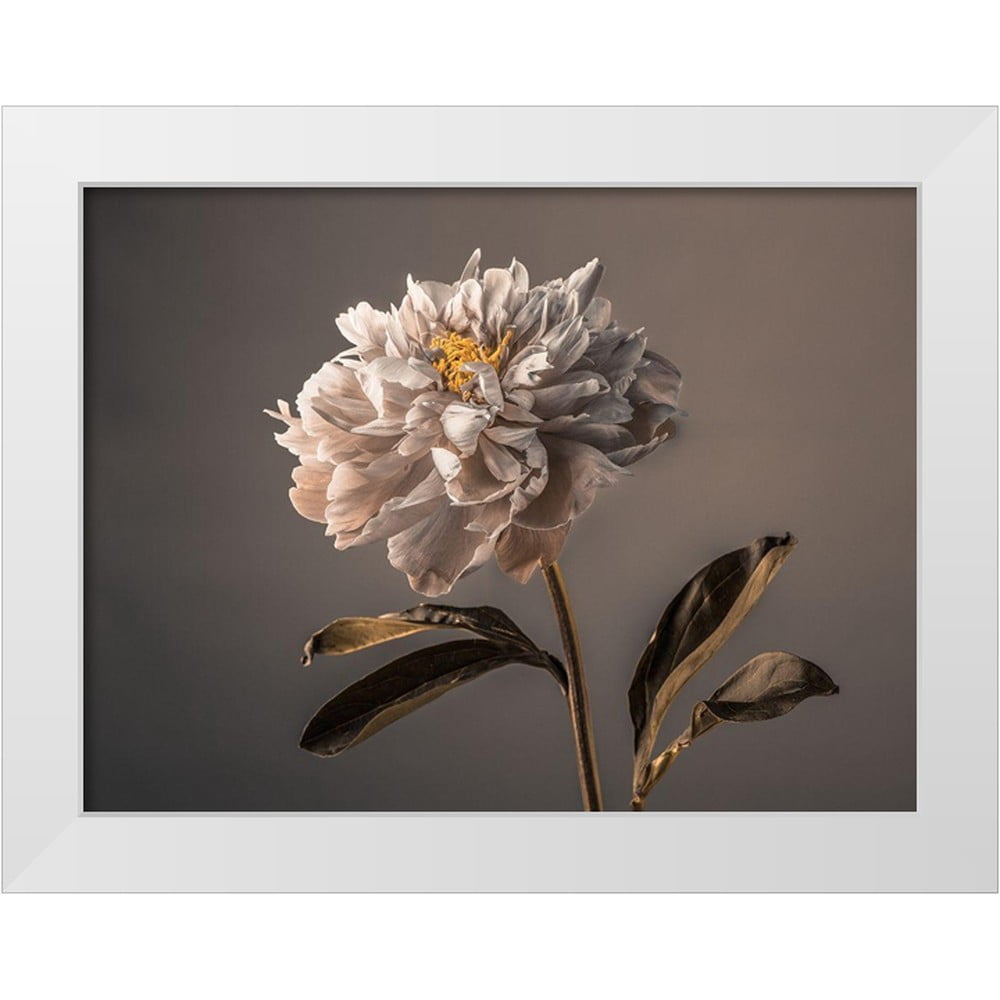 Frank, Assaf 24x19 White Modern Wood Framed Museum Art Print Titled ...
