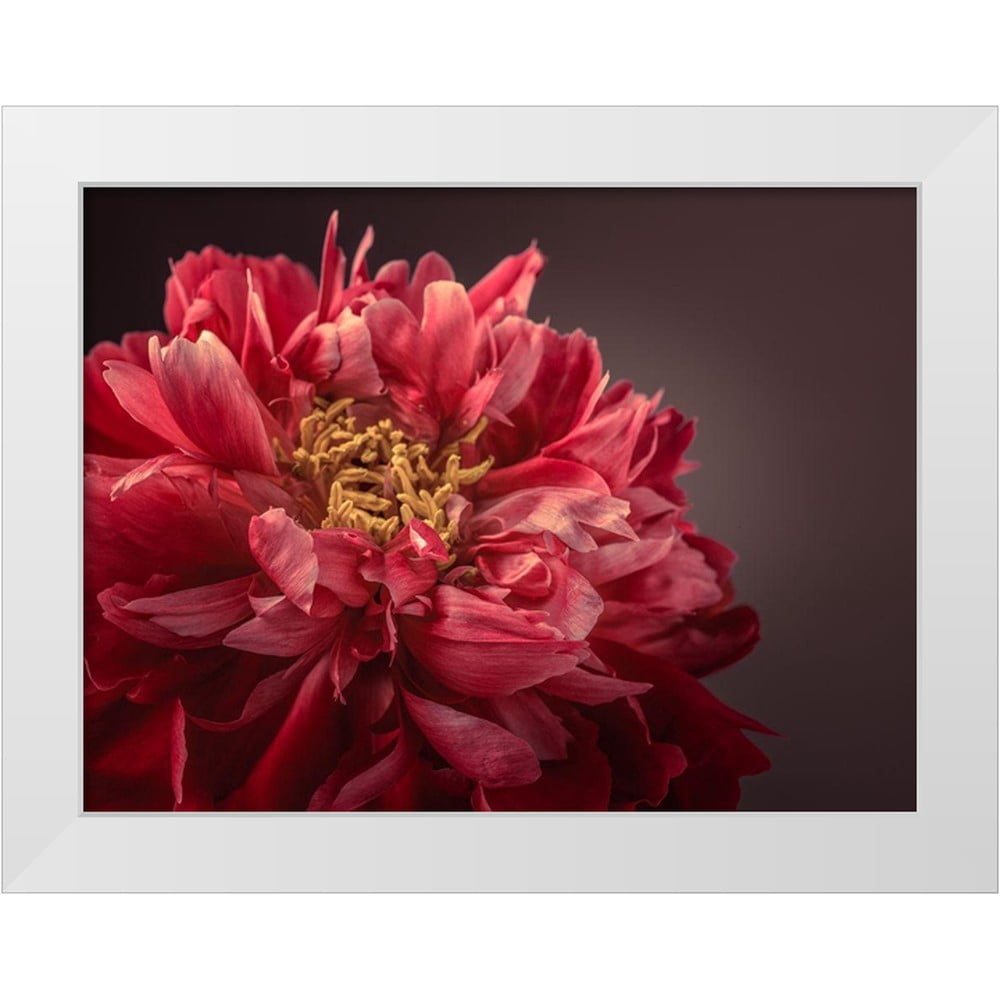 Frank, Assaf 24x19 White Modern Wood Framed Museum Art Print Titled ...