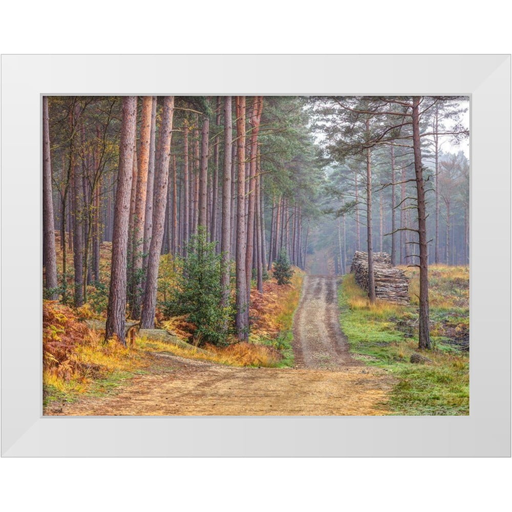 Frank, Assaf 24x19 White Modern Wood Framed Museum Art Print Titled ...