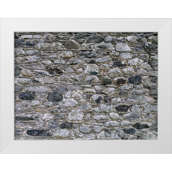 Frank, Assaf 24x19 White Modern Wood Framed Museum Art Print Titled ...