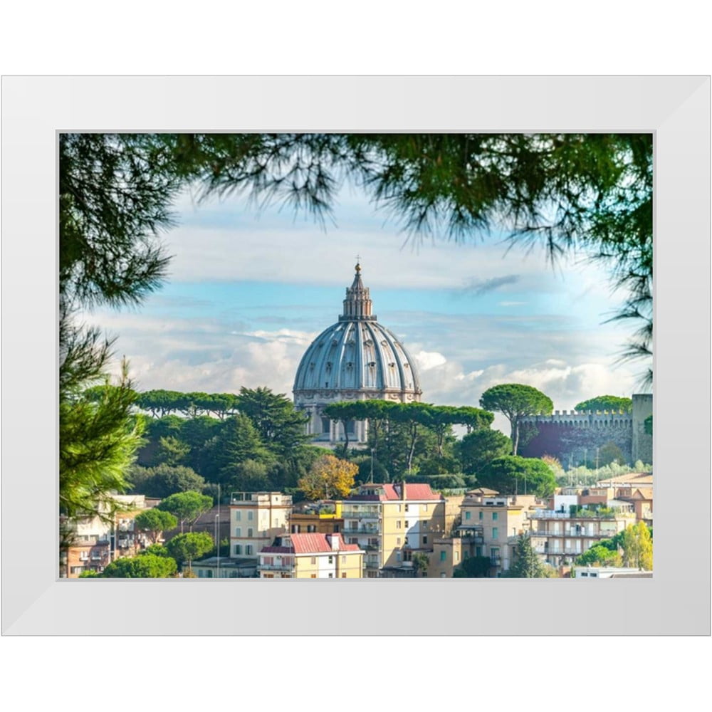 Frank, Assaf 24x19 White Modern Wood Framed Museum Art Print Titled ...