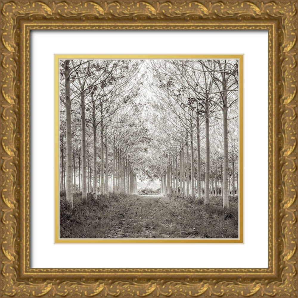Frank, Assaf 26x26 Gold Ornate Wood Framed with Double Matting Museum ...