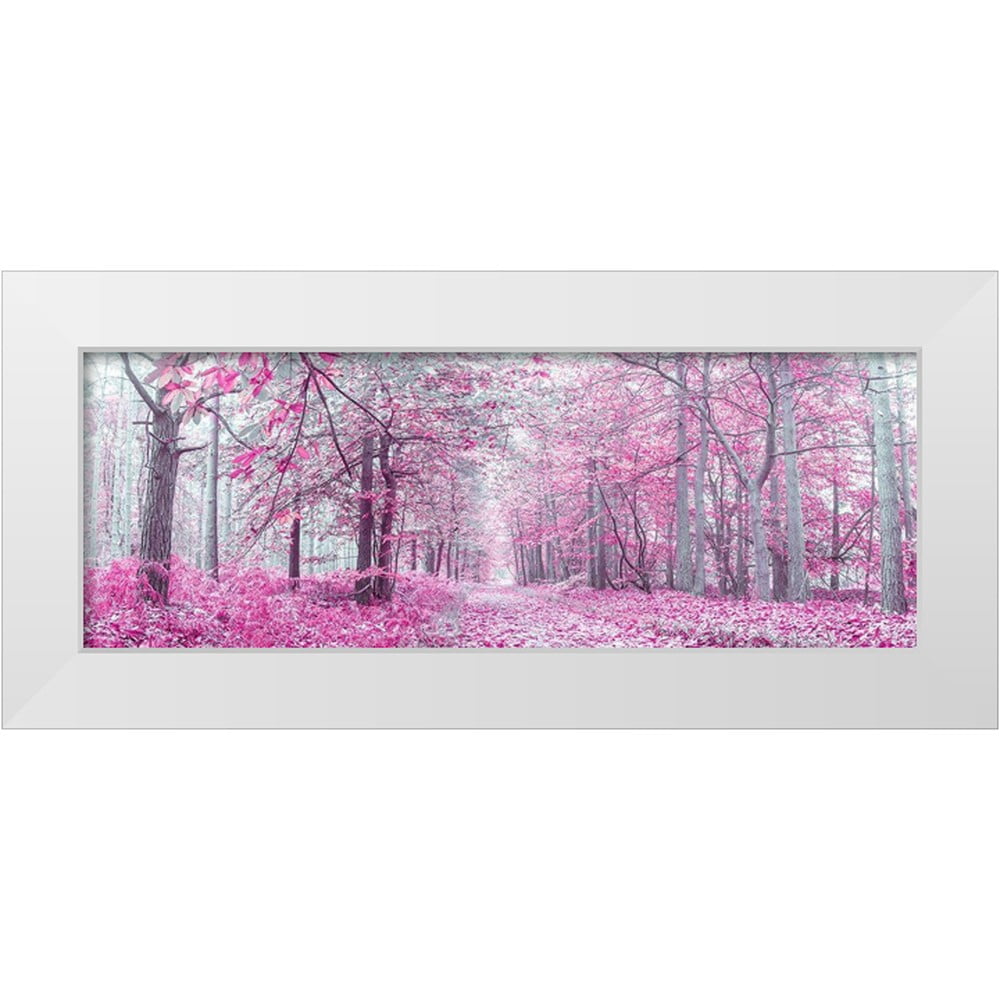 Frank, Assaf 32x14 White Modern Wood Framed Museum Art Print Titled ...