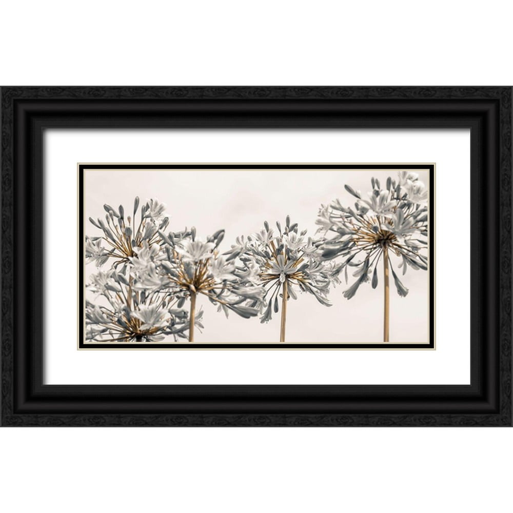 Frank, Assaf 32x18 Black Ornate Wood Framed with Double Matting Museum ...