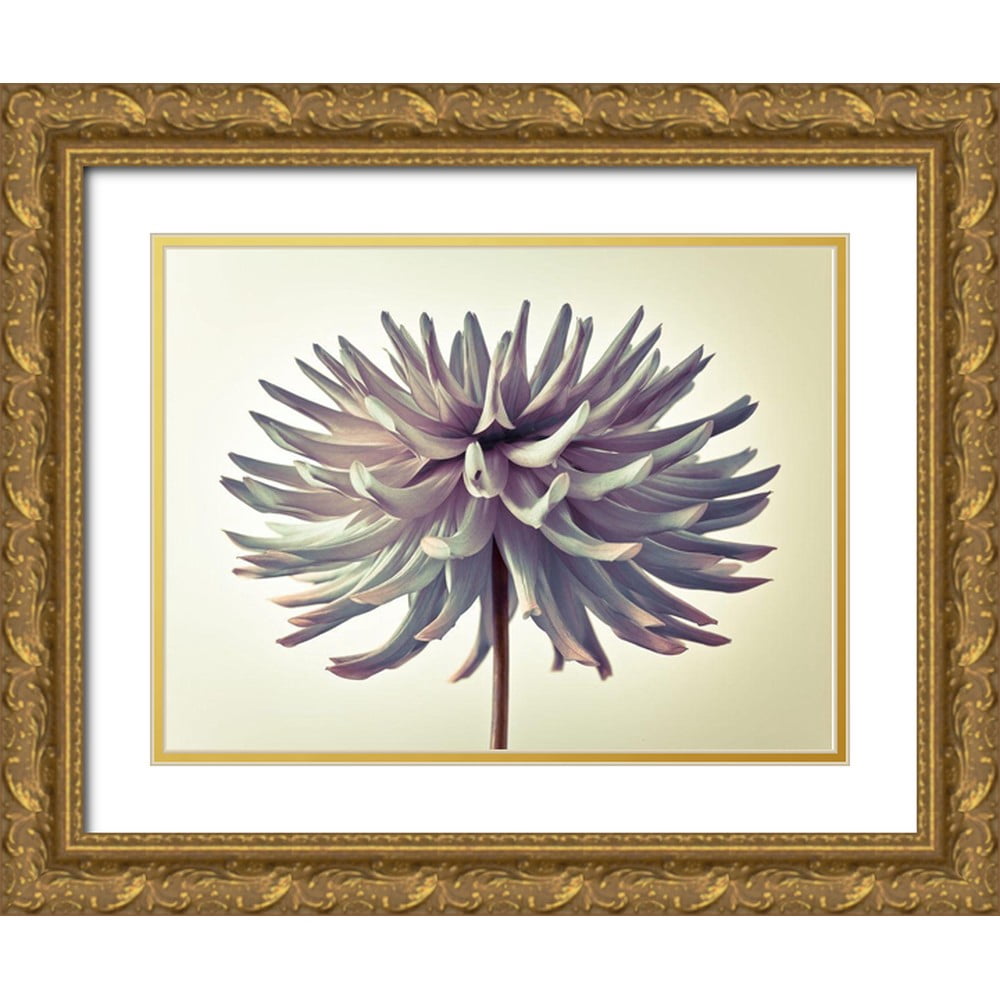 Frank, Assaf 32x25 Gold Ornate Wood Framed with Double Matting Museum ...