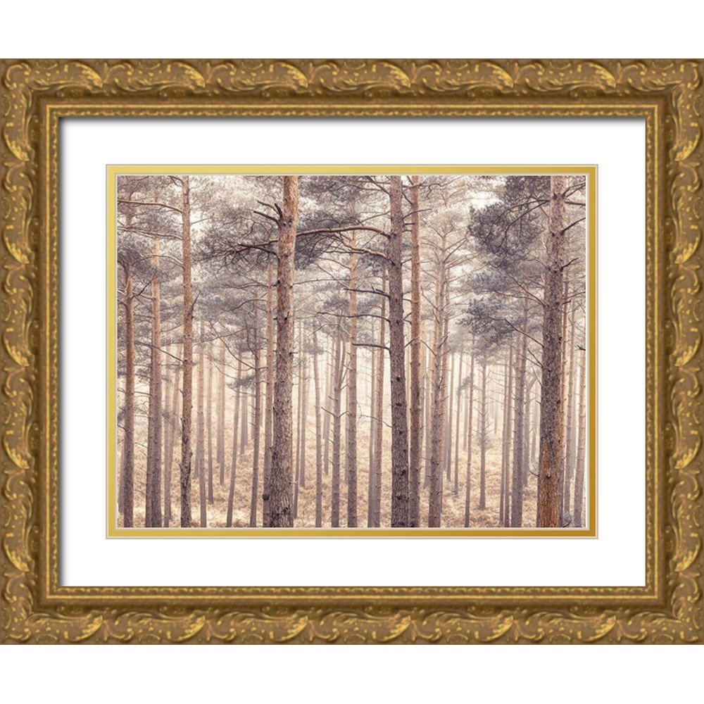 Frank, Assaf 32x25 Gold Ornate Wood Framed with Double Matting Museum ...