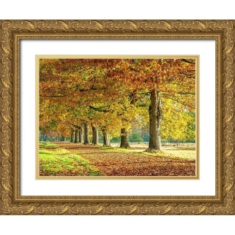 Frank, Assaf 32x25 Gold Ornate Wood Framed with Double Matting Museum ...