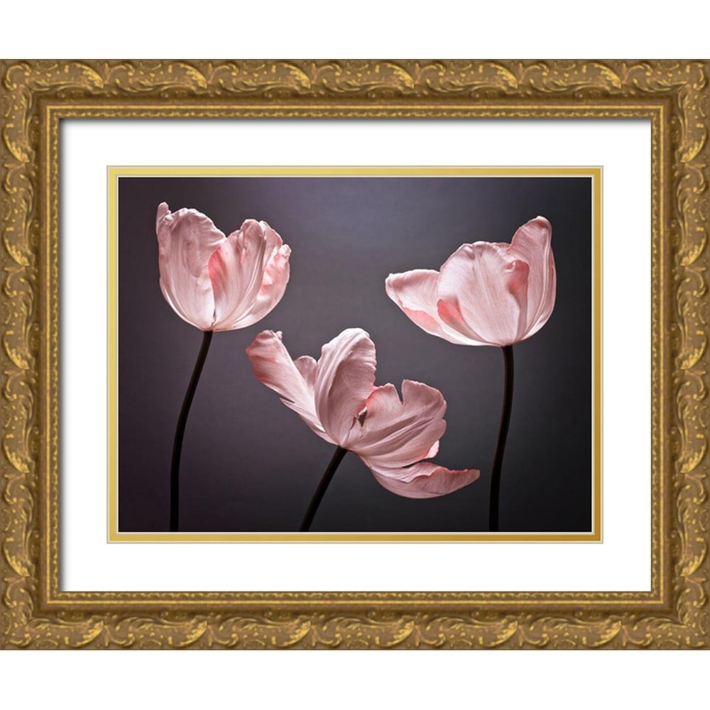 Frank, Assaf 32x25 Gold Ornate Wood Framed with Double Matting Museum ...