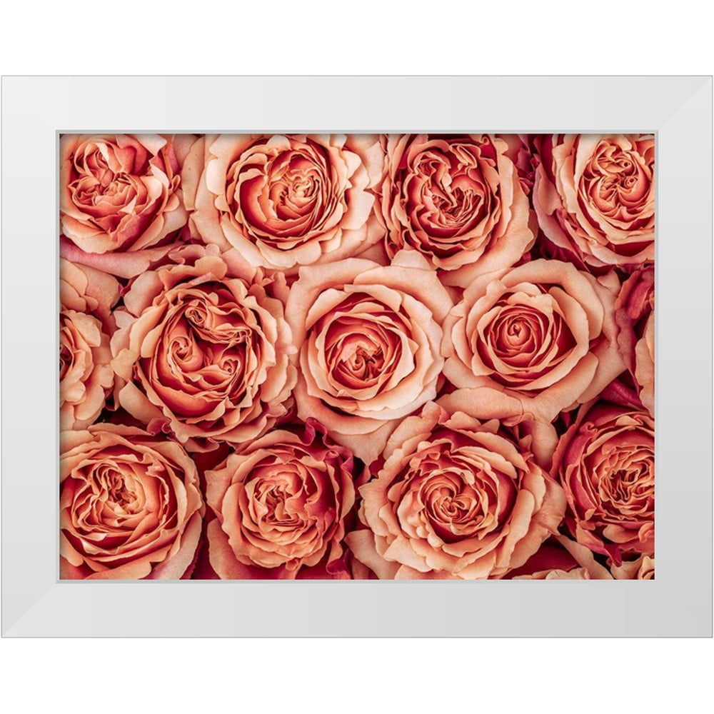 Frank, Assaf 32x25 White Modern Wood Framed Museum Art Print Titled ...