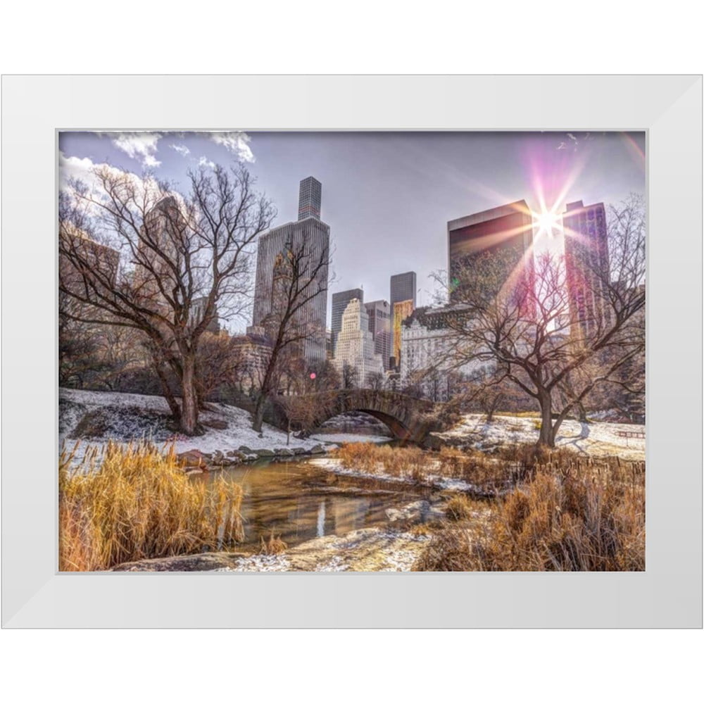 Frank, Assaf 32x25 White Modern Wood Framed Museum Art Print Titled ...