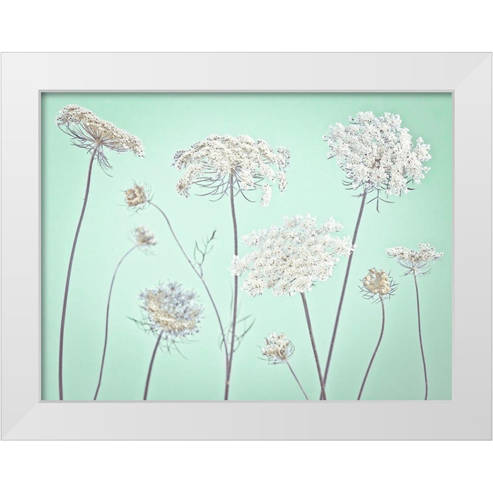 Frank, Assaf 32x25 White Modern Wood Framed Museum Art Print Titled ...