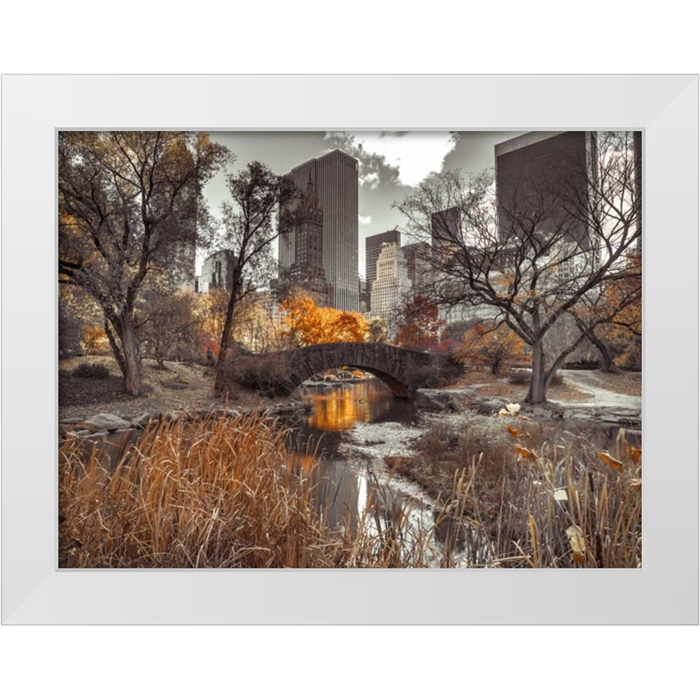 Frank, Assaf 32x25 White Modern Wood Framed Museum Art Print Titled ...