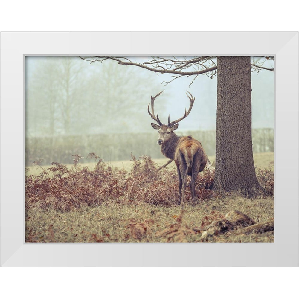 Frank, Assaf 32x25 White Modern Wood Framed Museum Art Print Titled ...