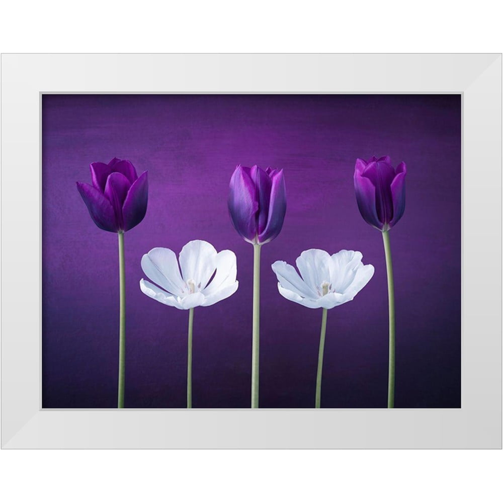 Frank, Assaf 32x25 White Modern Wood Framed Museum Art Print Titled ...