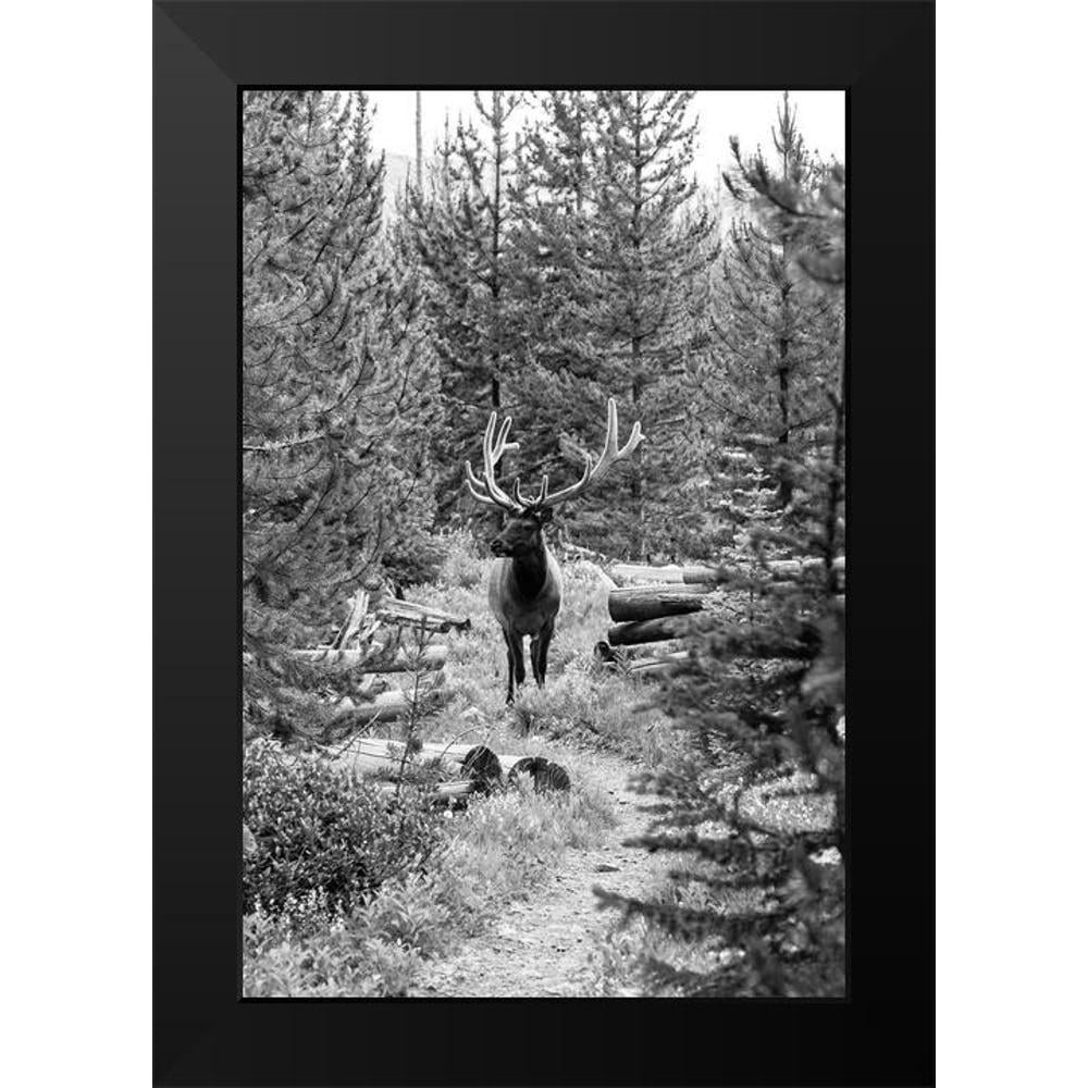 Frank, Jacob W. 11x14 Black Modern Framed Museum Art Print Titled ...