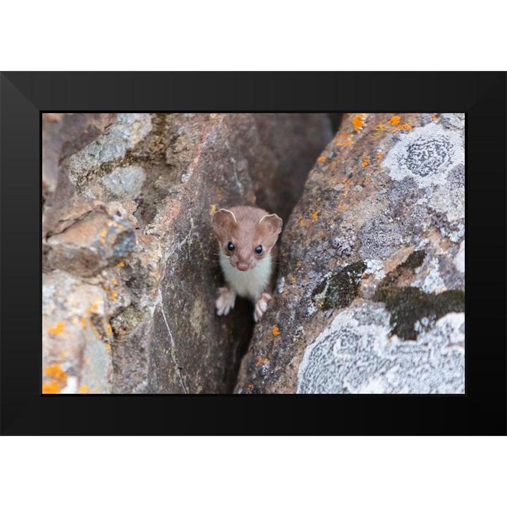 Frank, Jacob W. 14x11 Black Modern Framed Museum Art Print Titled ...