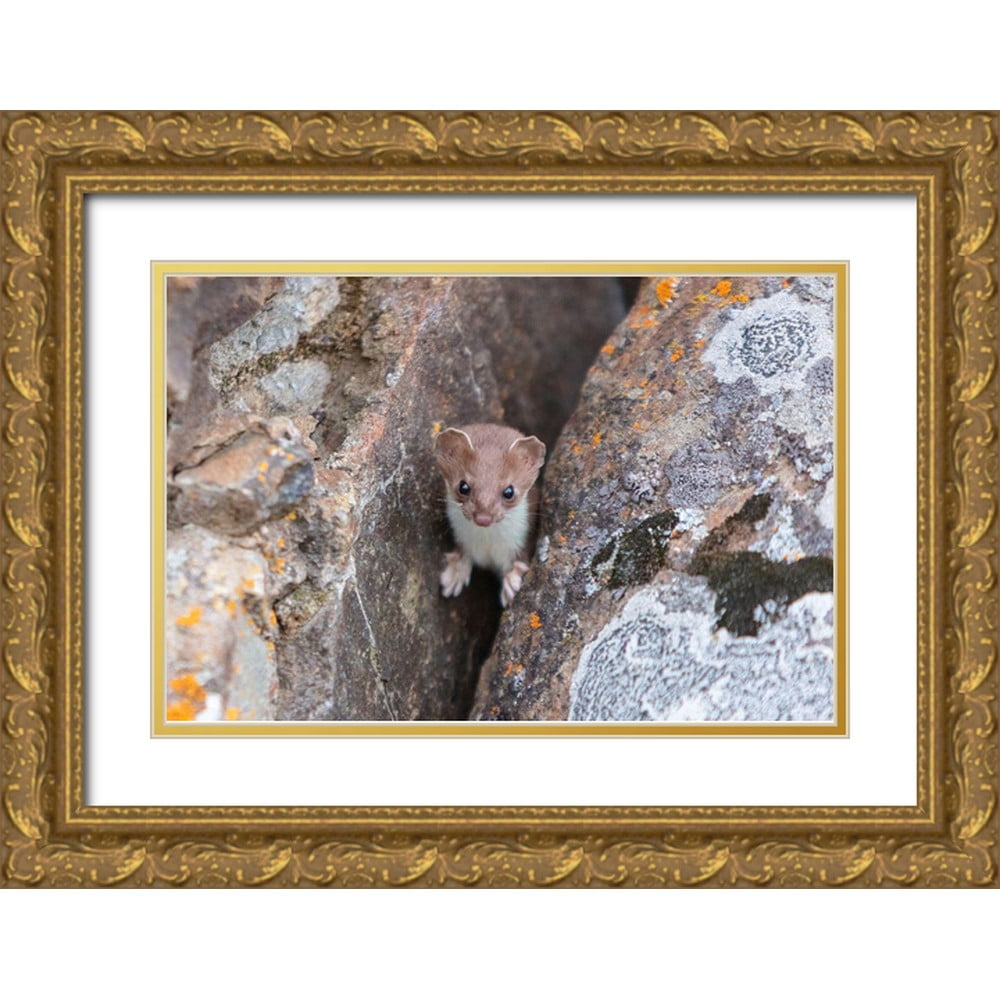 Frank, Jacob W. 14x11 Gold Ornate Wood Framed with Double Matting ...