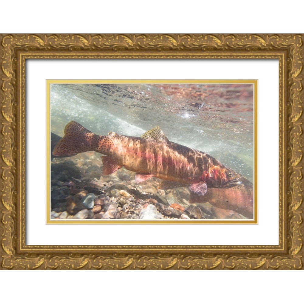 Frank, Jacob W. 18x13 Gold Ornate Wood Framed with Double Matting ...