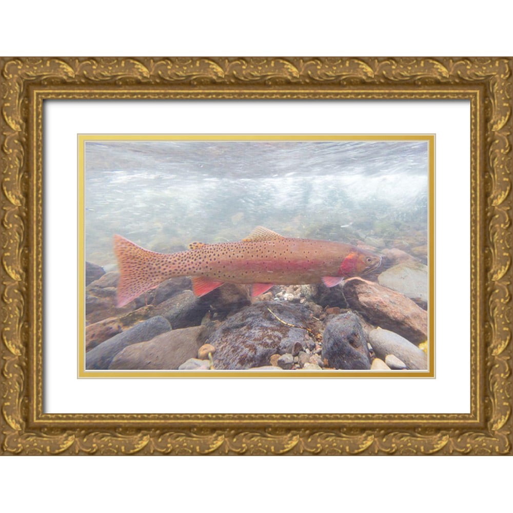 Frank, Jacob W. 24x17 Gold Ornate Wood Framed with Double Matting ...