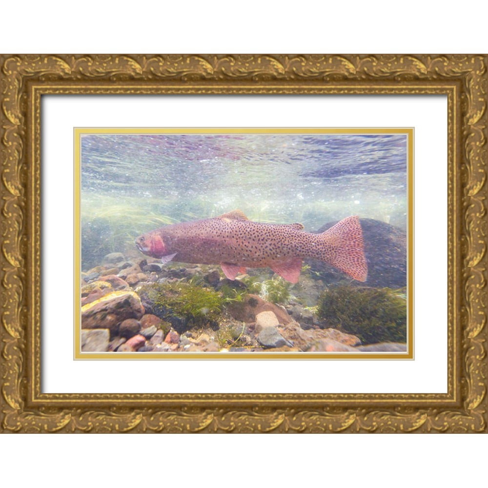 Frank, Jacob W. 24x17 Gold Ornate Wood Framed with Double Matting ...