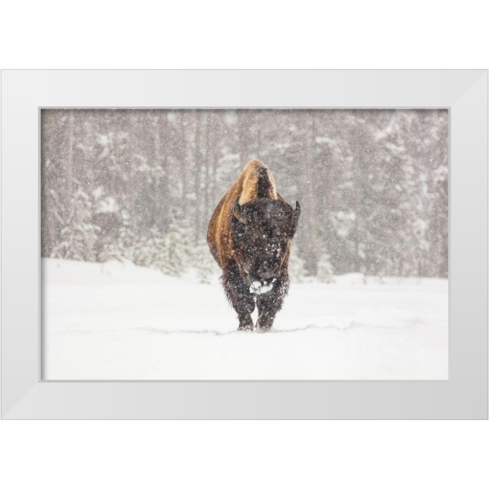 Frank, Jacob W. 32x23 White Modern Wood Framed Museum Art Print Titled ...