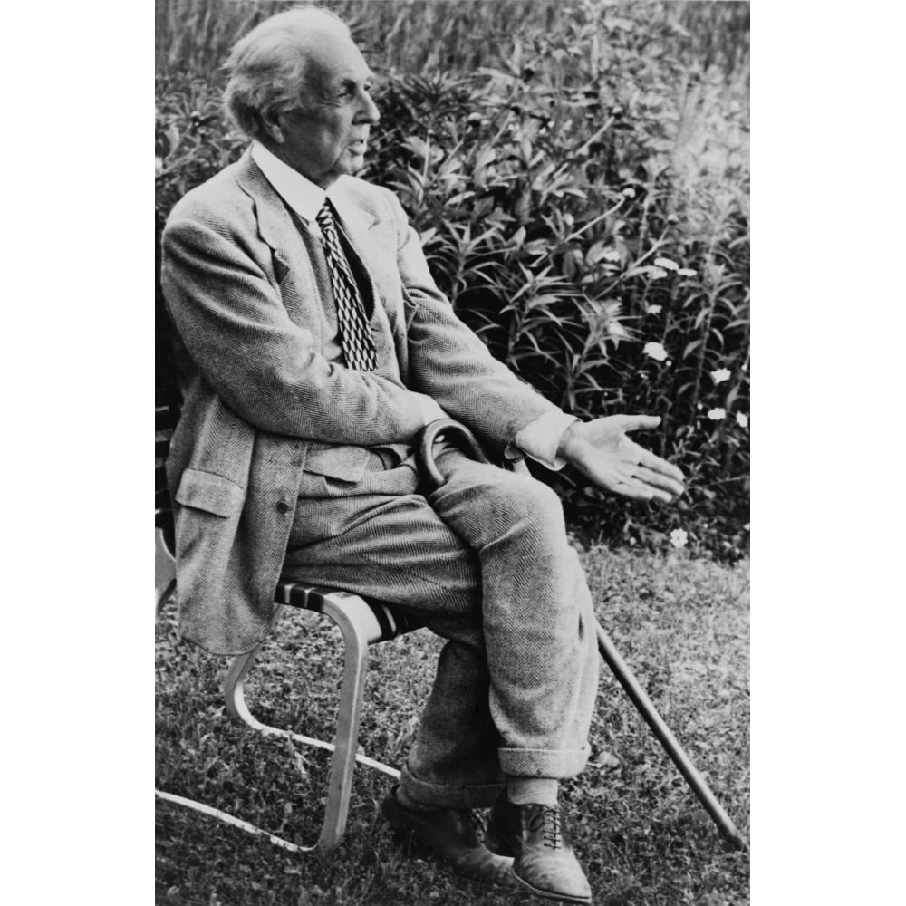 Frank Lloyd Wright History Poster Print - Walmart.com