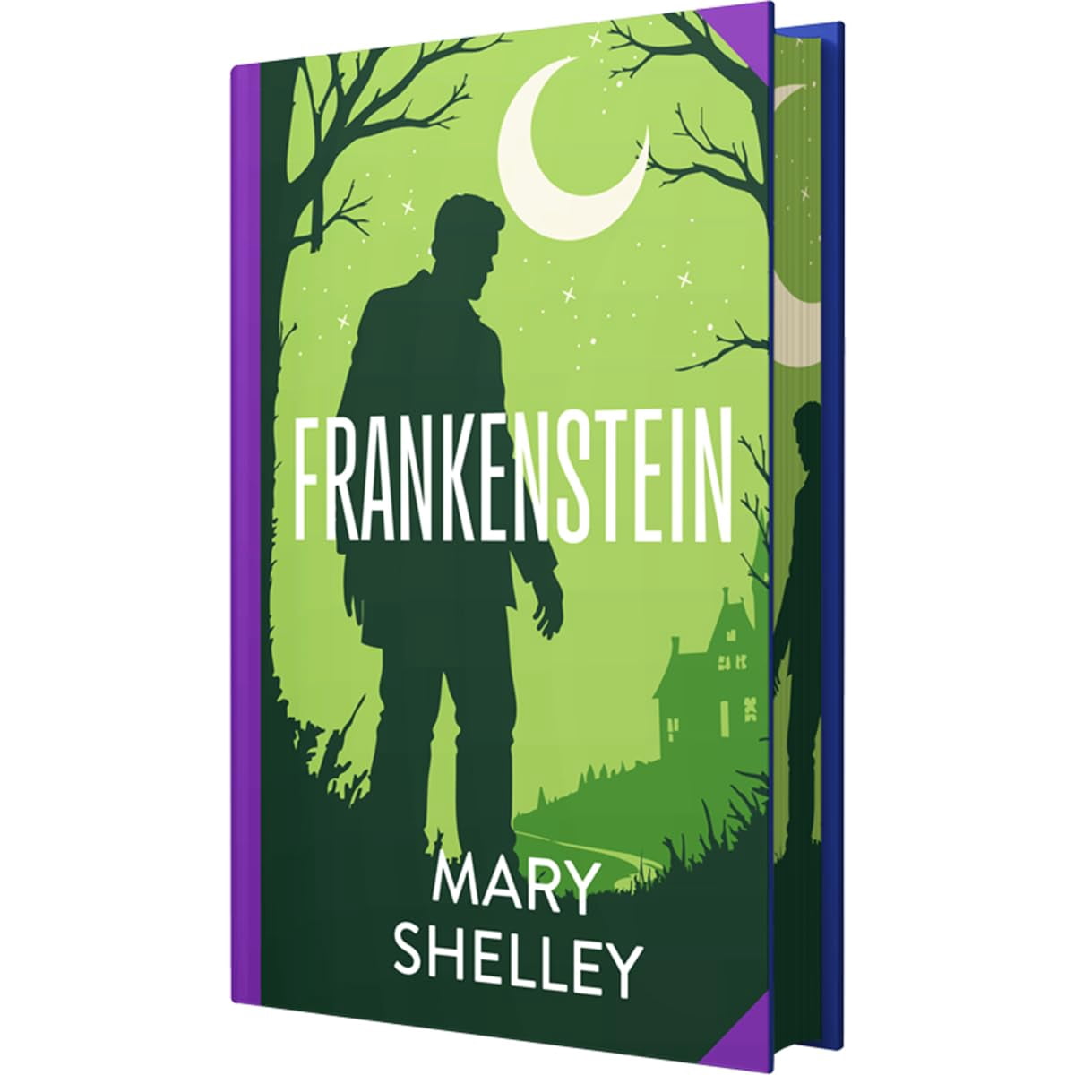 Frankenstein Book, Mary Shelley Books, Frankenstein Novel | Deluxe ...