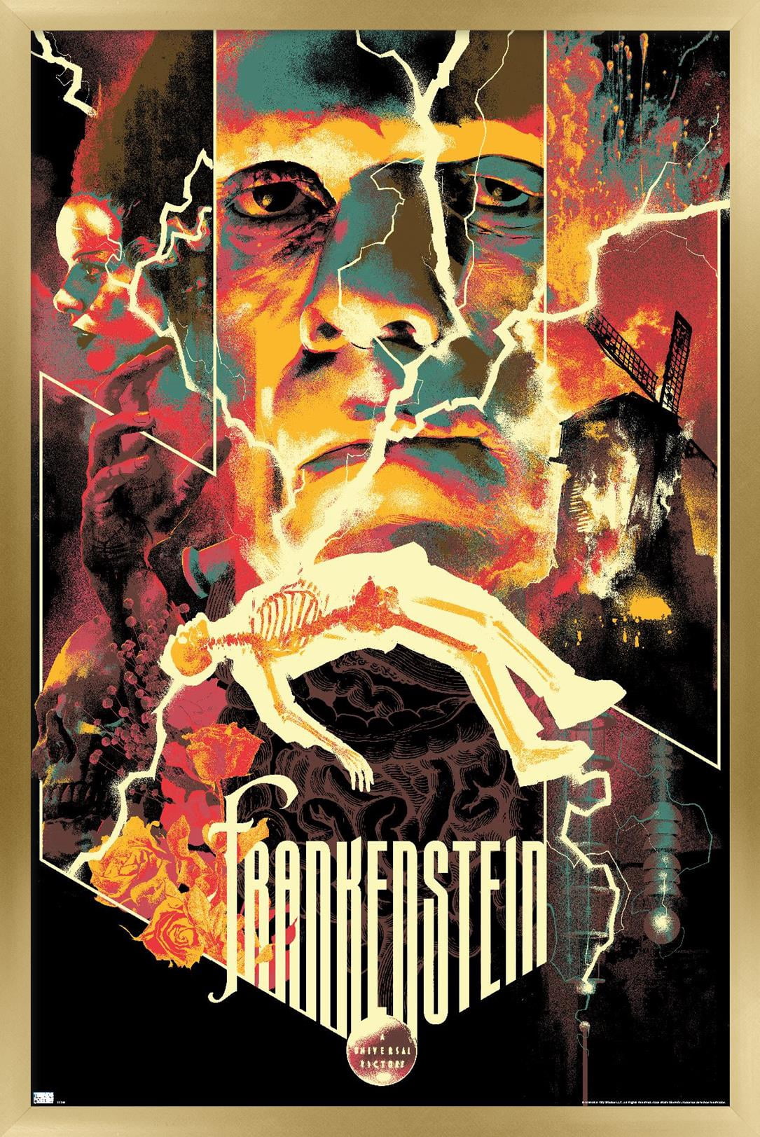Frankenstein - Collage Wall Poster, 22.375" x 34" Framed - Walmart.com