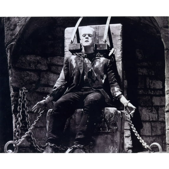 Frankenstein Movie poster 12x16 Print on Metal Sign 12in x 16in #136668 ...