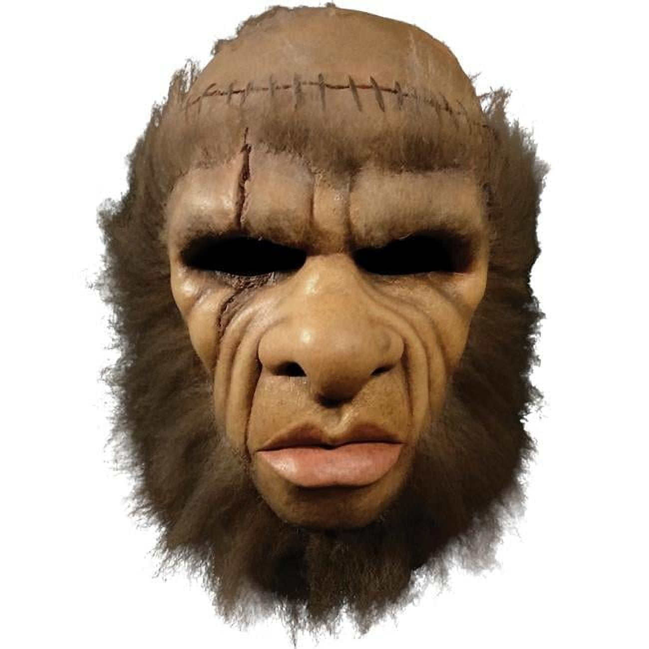 Frankenstein & the Monster From Hell Mask - Walmart.com