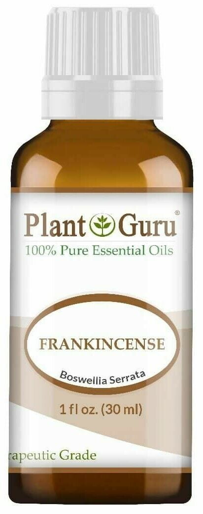 Frankincense Essential Oil 30 ml. / 1 oz. Extract of Boswellia Serrata ...