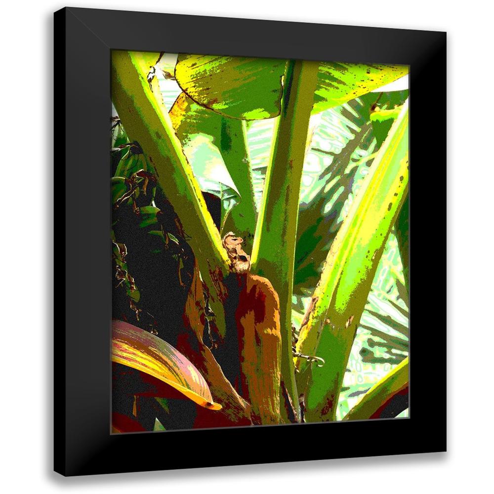 Franklin 15x18 Black Modern Framed Museum Art Print Titled - Banana II ...