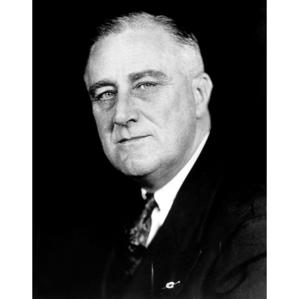Franklin D. Roosevelt History (18 x 24) - Walmart.com