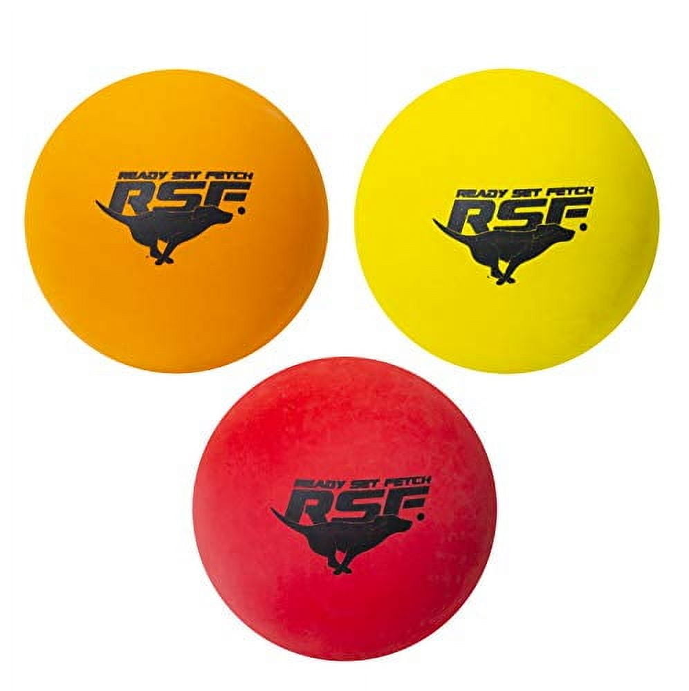 Franklin Pet Supply High Bounce Fetch Balls for Dogs - Multi Colored ...