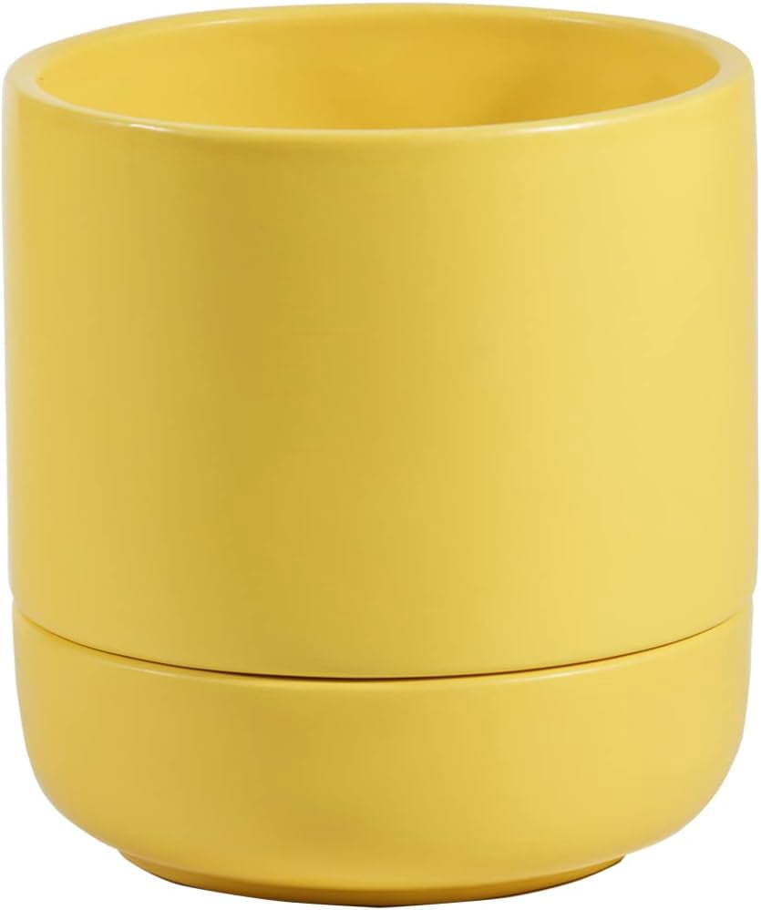 Franklin Self Watering Planter Pot for 4" and 6" Plants, Modern Indoor ...