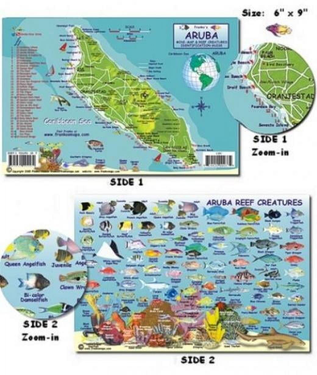 Franko Maps - Aruba Reef Fish ID - Walmart.com