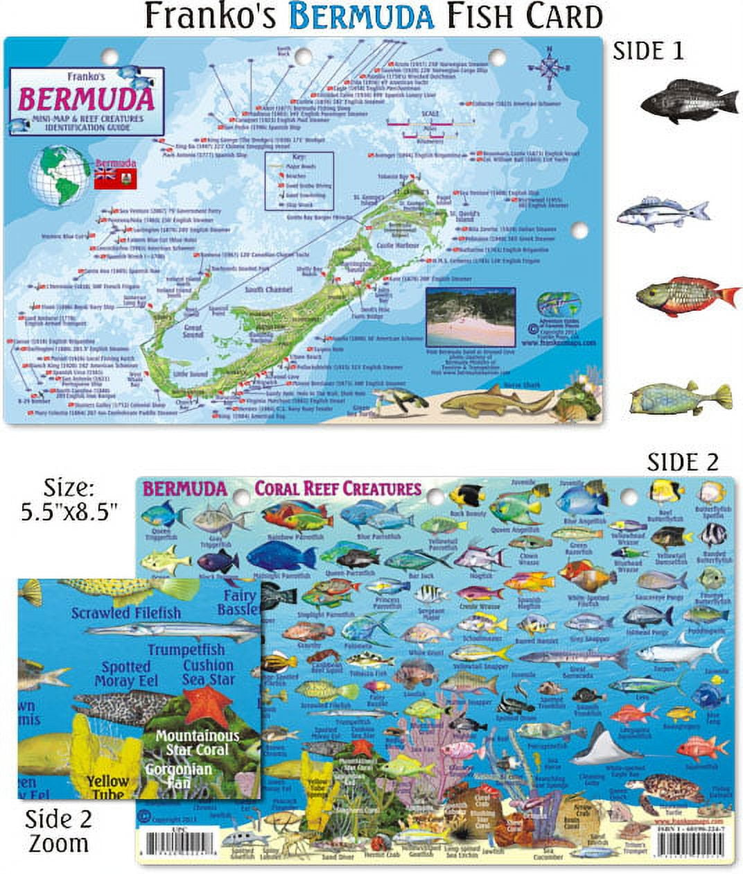 Franko Maps - Bermuda Fish ID - Walmart.com