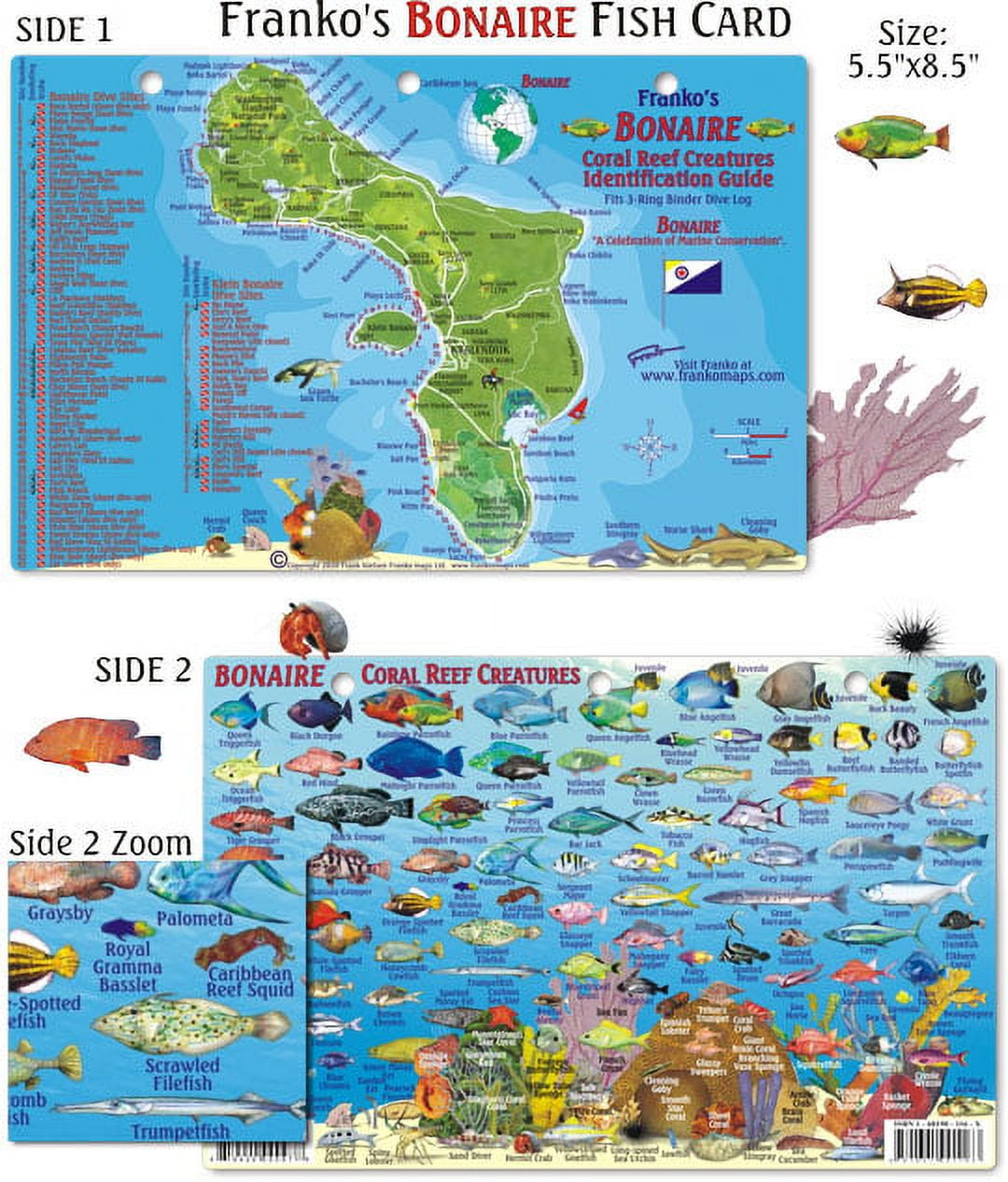 Franko Maps - Bonaire Reef Fish ID - Walmart.com