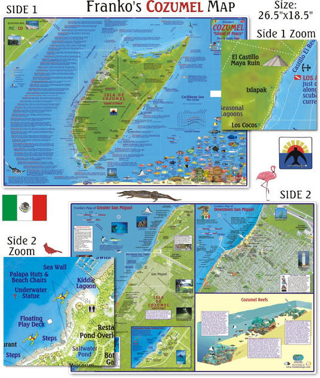 Franko Maps - Cozumel Dive Map - Walmart.com