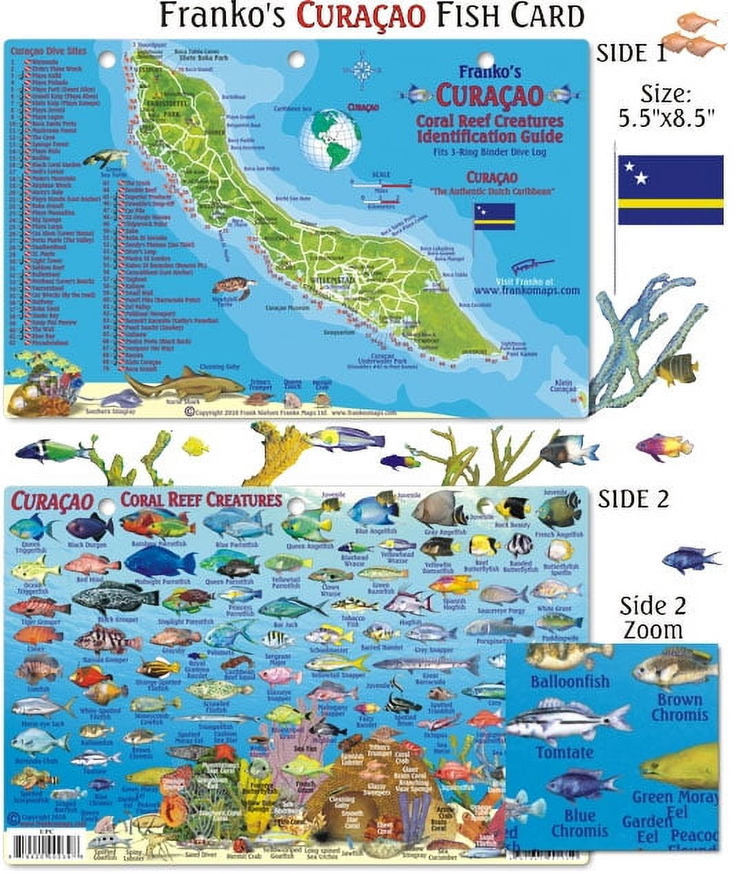Franko Maps - Curacao Reef Fish ID - Walmart.com