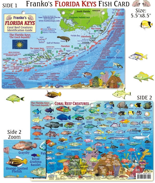 Franko Maps Florida Keys Reef Creatures Fish ID for Scuba Divers and ...