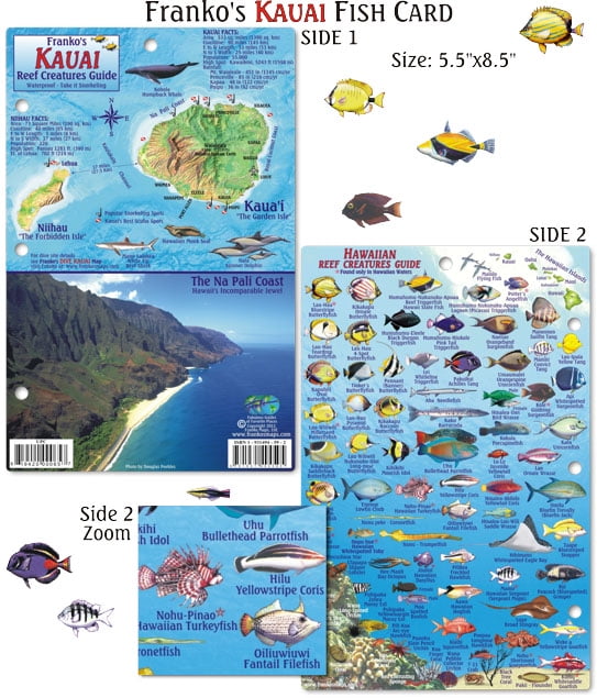 Franko Maps - Kauai Reef Fish ID - Walmart.com