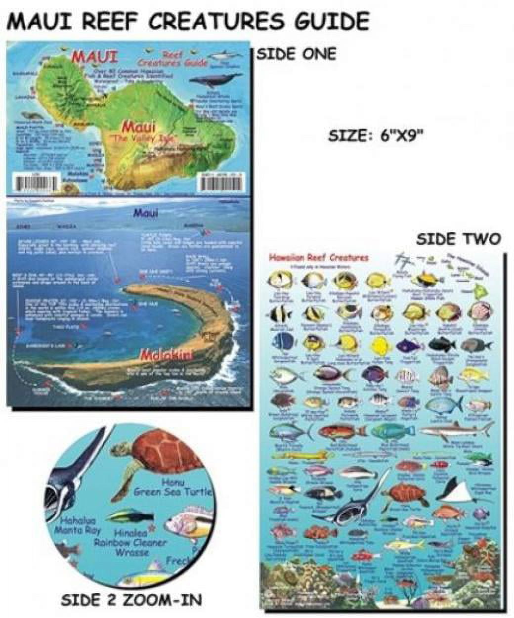 Franko Maps - Maui Reef Fish ID - Walmart.com