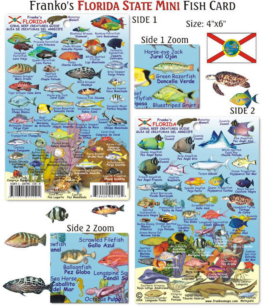 Franko Maps - Mini Florida Reef Fish ID - Walmart.com
