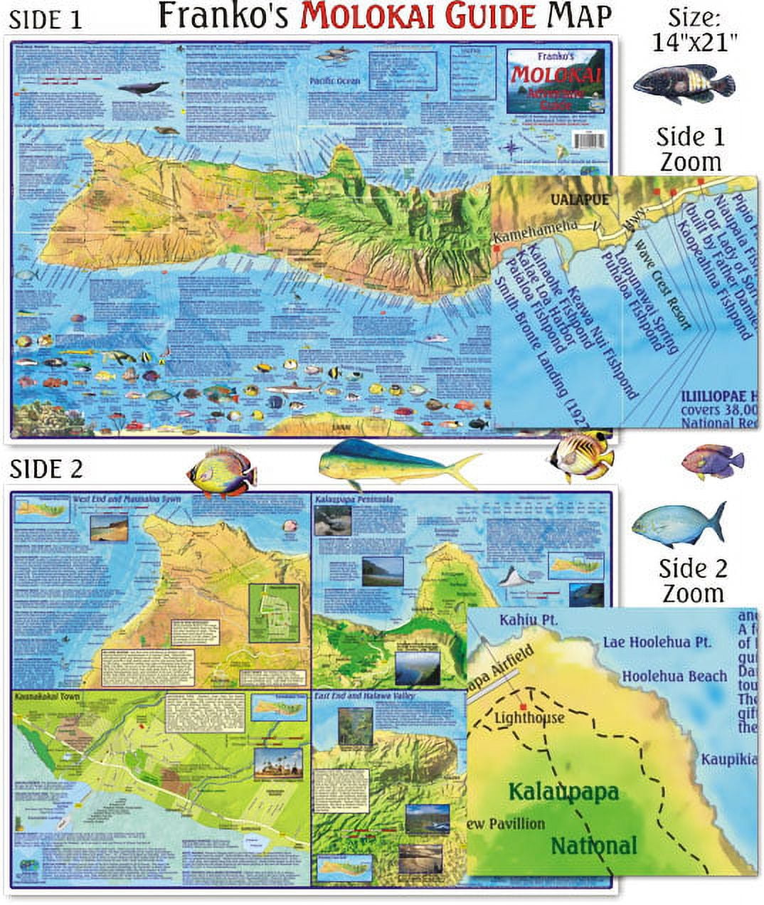 Franko Maps - Molokai Guide Map - Walmart.com