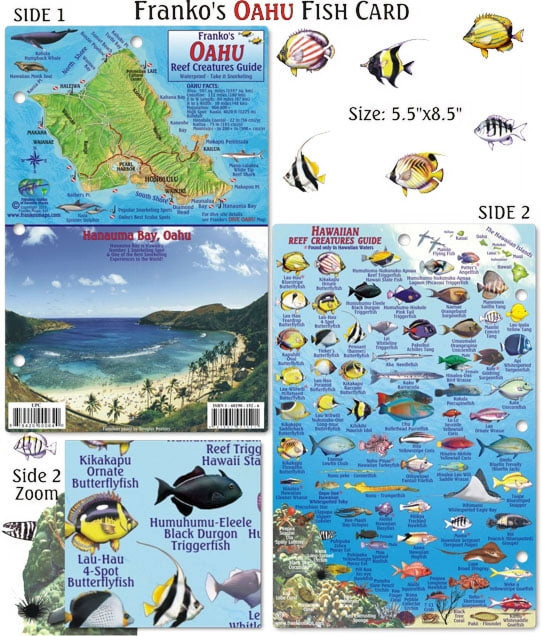 Franko Maps - Oahu Reef Fish ID - Walmart.com