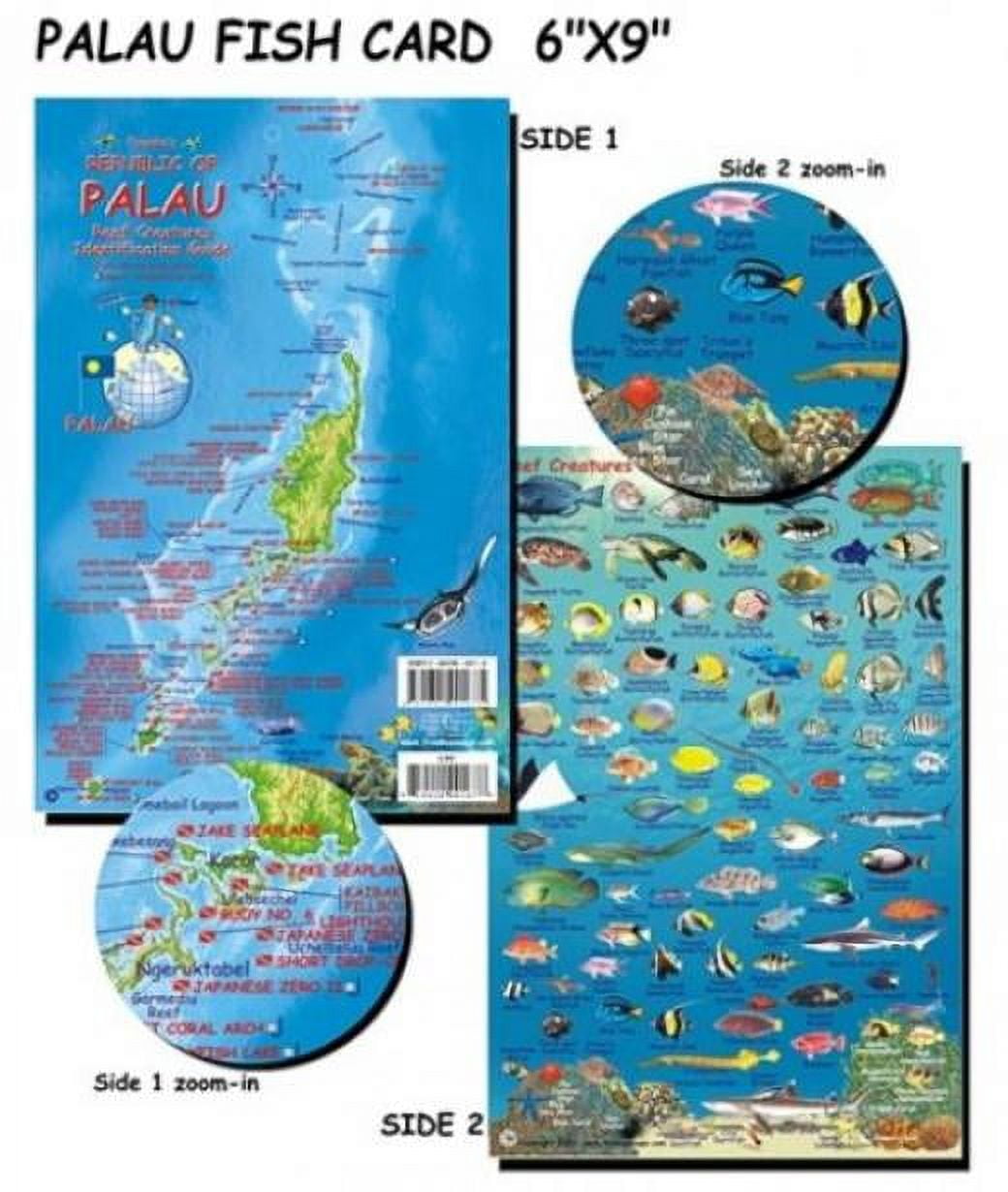 Franko Maps - Palau Fish ID - Walmart.com