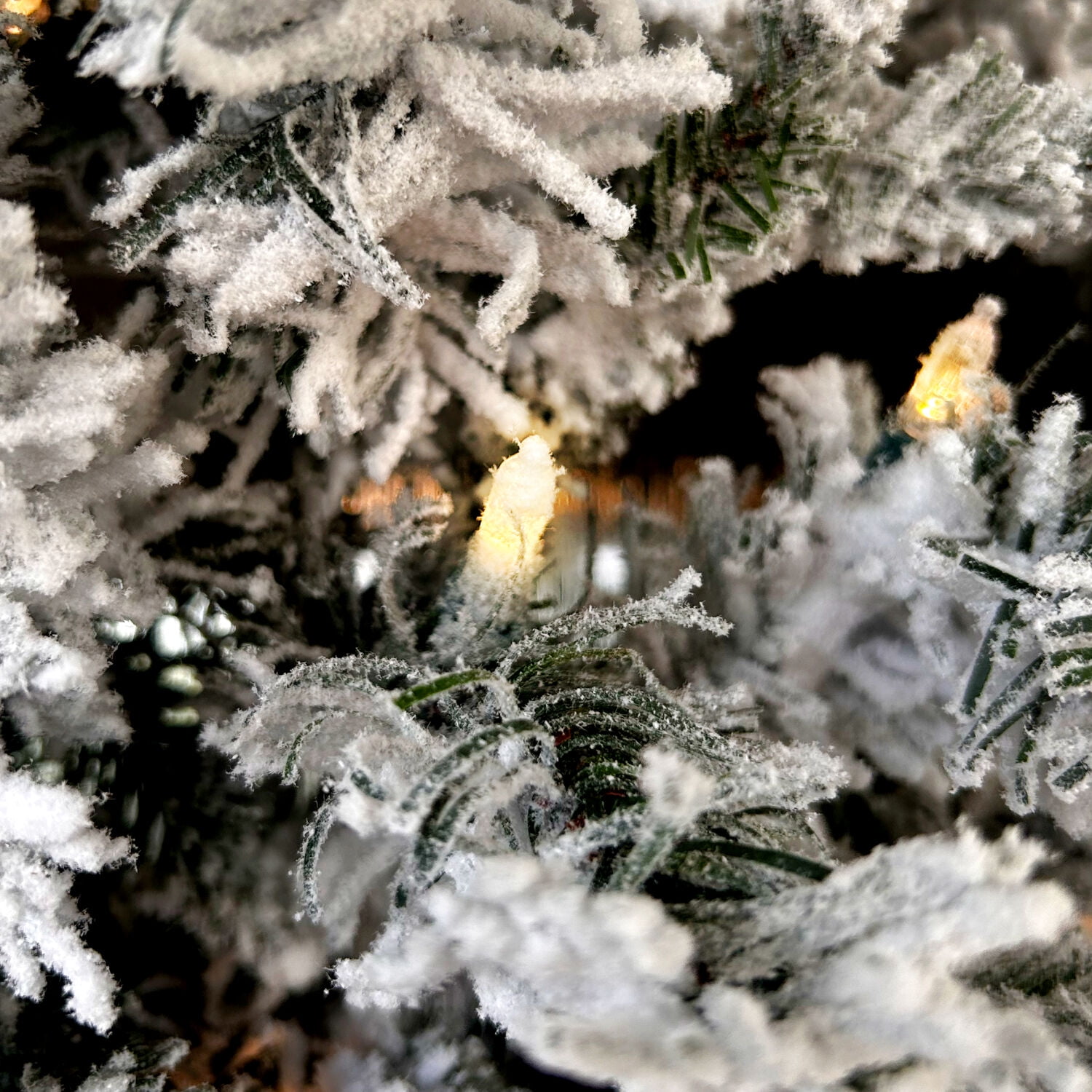 Fraser Hill Farm 24-in. Mountain Pine Flocked Wreath with LED Lights ...