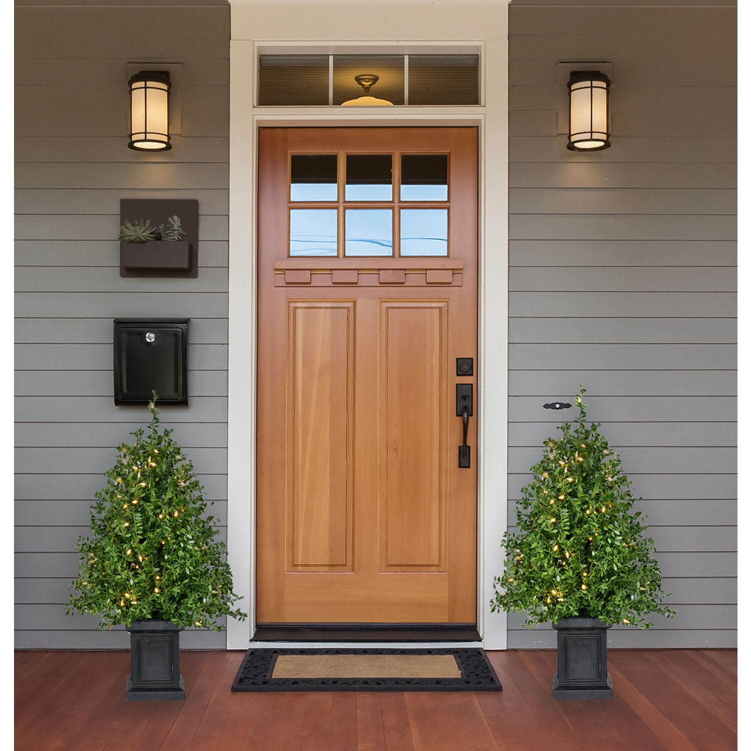 Fraser Hill Farm Boxwood Tree in Black Pot, 3 foot Tall, Great Outdoor ...