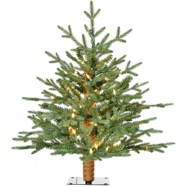 Fraser Hill Farm 3-ft. Snowy Downswept Tree with Clear Lights Metal ...